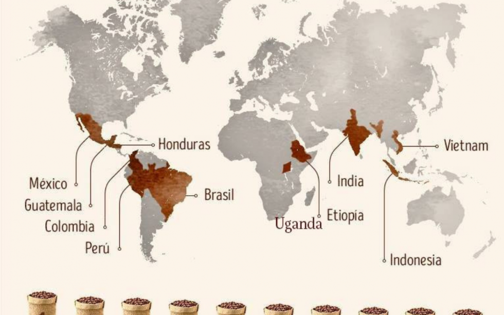 Cafe Organico Perunoa | Peru pais Cafetal | Peru el pais del mejor café